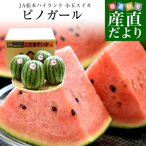 東京都大田市場より発送します。名称：ピノガール（小玉スイカ）産地：長野県内容量：計8.5キロ以上(4玉入り)ピノガールは、2020年に本格的に出荷が始まった、まだまだ新しい品種の小玉スイカです。最大の特徴は種が小さいため、種ごと食べられる新...