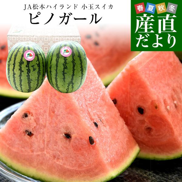 東京都大田市場より発送します。 名称：ピノガール（小玉スイカ）等級：A品産地：長野県内容量：計4キロ以上(2玉入り) ピノガールは、2020年に本格的に出荷が始まった、まだまだ新しい品種の小玉スイカです。最大の特徴は種が小さいため、種ごと食...