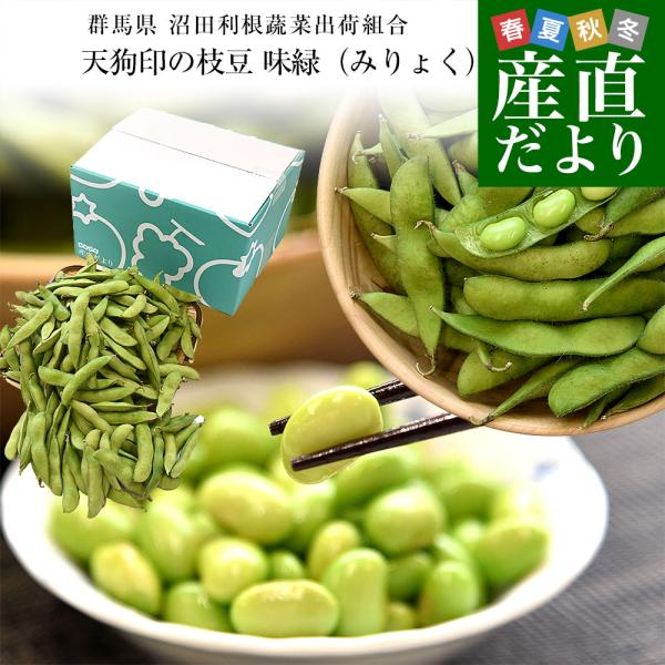 東京都大田市場より発送いたします。商品名：天狗の枝豆　味緑（みりょく）原産地：群馬県産内容量：約1キロ(250g×4袋)市場関係者が唸る最上級の枝豆ブランド「天狗印枝豆」。中でも「味緑（みりょく）」は、青豆と茶豆の良いとこ取り！青豆の旨味と...
