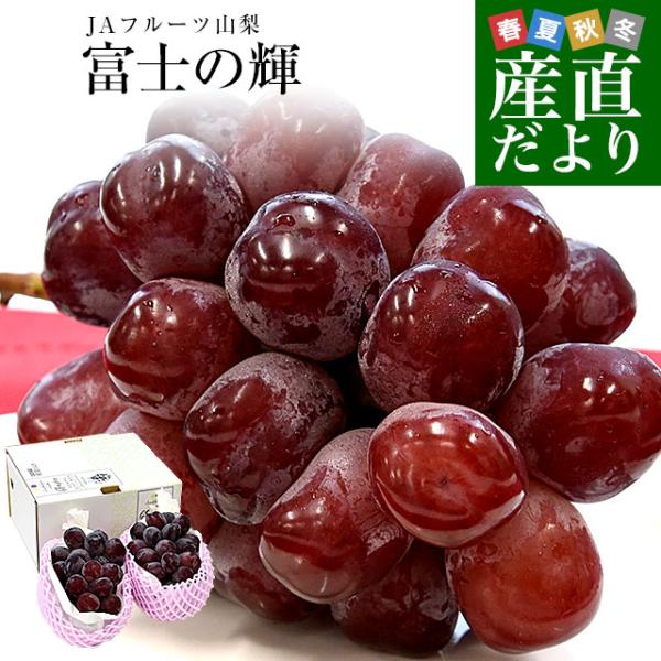 東京大田市場より発送致します。商品名：富士の輝（ふじのかがやき）原産地：山梨県産内容量：2房（合計約1.1キロ）種が無く皮ごと食べられる甘いぶどうです。言わずと知れた大人気ぶどうシャインマスカットと赤ぶどうのウインクを掛け合わせた新品種。強...