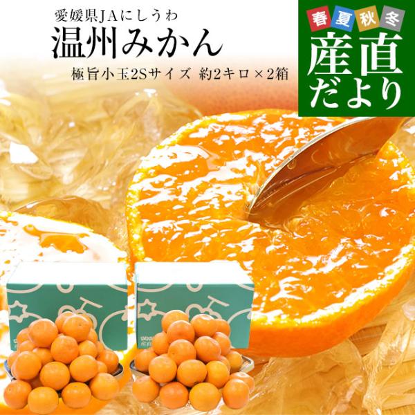 東京都大田市場より発送します商品名：温州みかん産地：愛媛県内容量：約2キロ×2箱（合計60玉から72玉前後）糖酸のバランスが良く、味が濃い小玉サイズを厳選！愛媛県にしうわが誇る8つの共選場から、時期に合わせたベストな産地で選び抜いたみかんで...