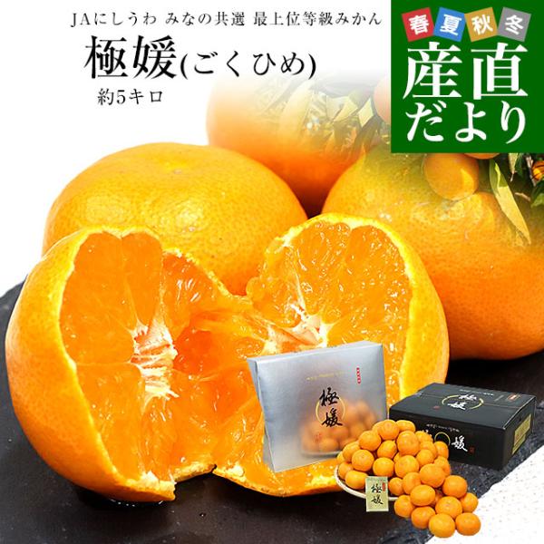 東京都大田市場より発送いたします。商品名：最上位等級みかん「極媛」原産地：愛媛県JAにしうわ みなの共選内容量：約5キロ(40玉から60玉前後)JAにしうわ・みなの共選が誇る最上位等級みかん「極媛」！極媛は、みなの共選の中でも、わずか3％ほ...