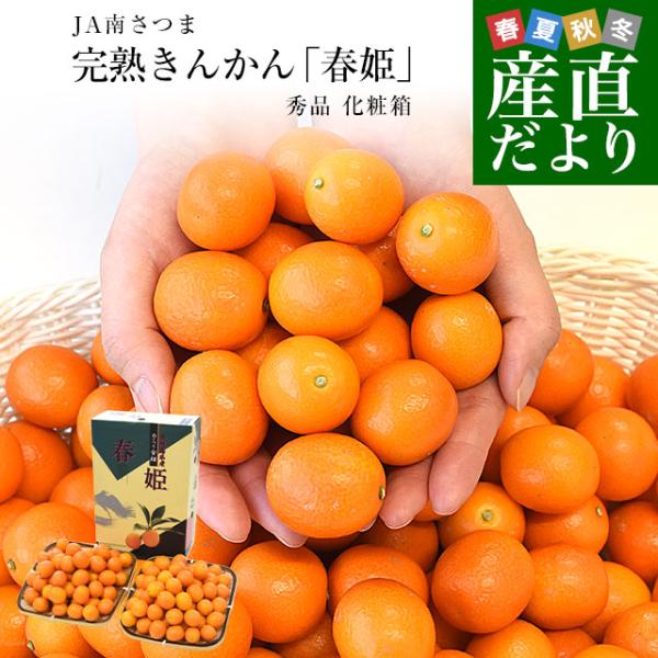 東京都大田市場より発送いたします。商品名：春姫原産地：鹿児島県内容量：約2キロコロッと可愛らしく、皮ごと食べられる甘さたっぷりの金柑です。糖度は16度以上のこだわり品！金柑特有のほのかな苦みと濃厚な甘さが絶妙に絡み合い深みのある味わいです。...