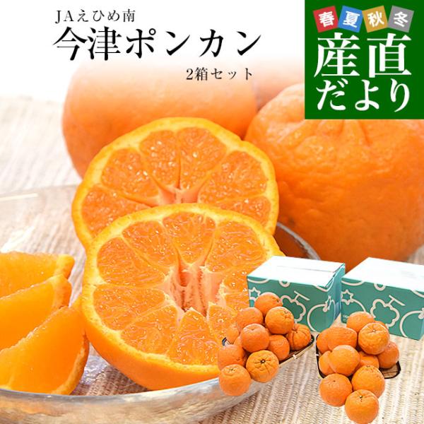 東京都大田市場より発送いたします。商品名：今津ポンカン内容量：約2.5キロ×2箱原産地：愛媛県豊かな香りと、濃厚な甘さに包まれる絶品柑橘「今津ポンカン」。ポンカンの本場・愛媛県宇和島市にて今津氏が栽培を始めたことが名前の由来。通常のポンカン...
