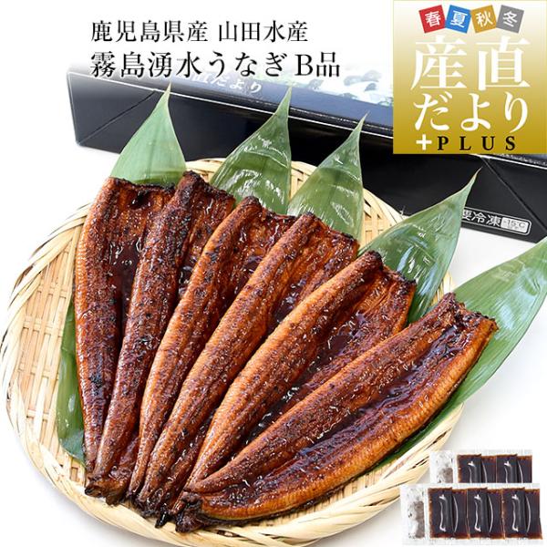 鹿児島県山田水産より直送いたします。商品名：うなぎ蒲焼(ご家庭用)内容量：計700g（5尾から7尾詰め） 原材料：別途ページ内記載添加物：別途ページ内記載保存方法：-18度以下で保存してください。賞味期限：冷凍2か月（-18℃保管）、開封後...