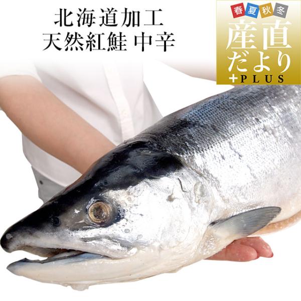 北海道より直送します。 原材料名：紅鮭（ロシア産）・食塩内容量：1本1.6キロ賞味期限：冷凍90日（-18度保管）解凍後はお早めに販売者：株式会社　J'sフロンティア　札幌市西区二十四軒3条1丁目1-31※本商品は発送日ではなく、お届け日を...