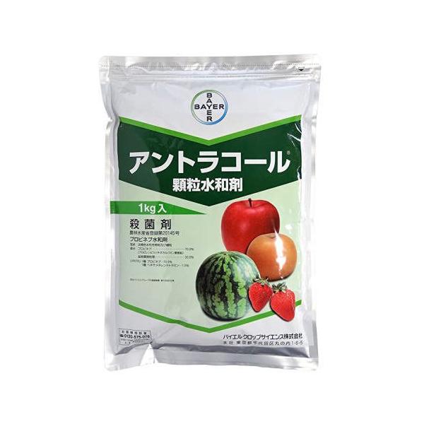 ※こちらの商品は有効期限が23年10月の商品です。■顆粒水和剤なので、薬剤調製時の計量が容易なだけでなく、粉立ちによる薬剤吸入の心配が少ないので使用者にとって使いやすい薬剤です。■りんごの斑点落葉病、褐斑病をはじめ各種の病害に的確な効果を発...