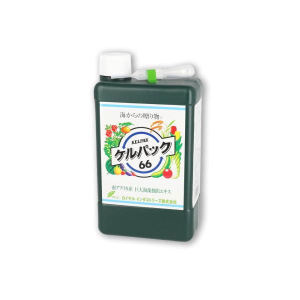 ■ケルパック66は南アフリカ産巨大海藻から抽出した100％海藻エキスです。■葉緑素が増え、葉が厚くなるため光合成能が高まり糖の蓄積が進みます。■葉が小さく仕立てられるため、葉を維持するエネルギーを少なくできます。■根張りが良くなるため肥料の...
