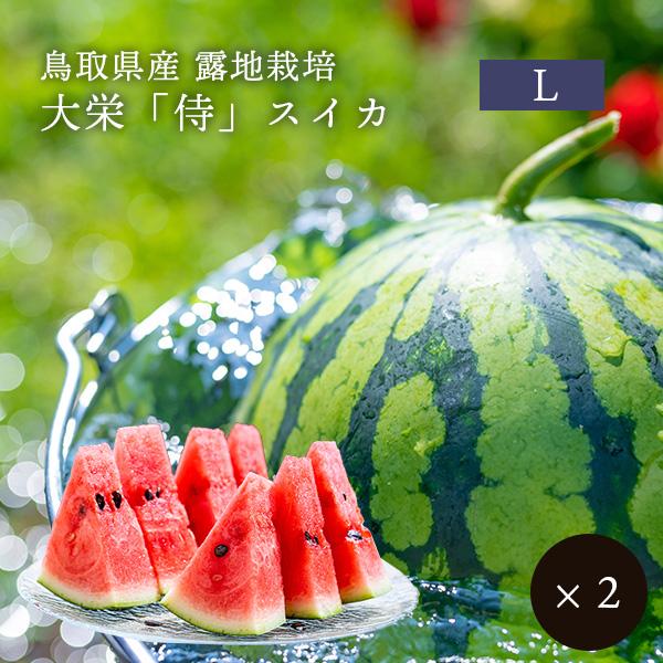 【発売日：2026年06月17日】鳥取県北栄町（旧大栄町）産奥田農園　大栄「侍」スイカ露地栽培（品種：まつりばやし）※季節の変動により糖度が12度前後になる場合もございます。こちらの商品はメーカー様直送のため日時指定はできかねます。全国的に...