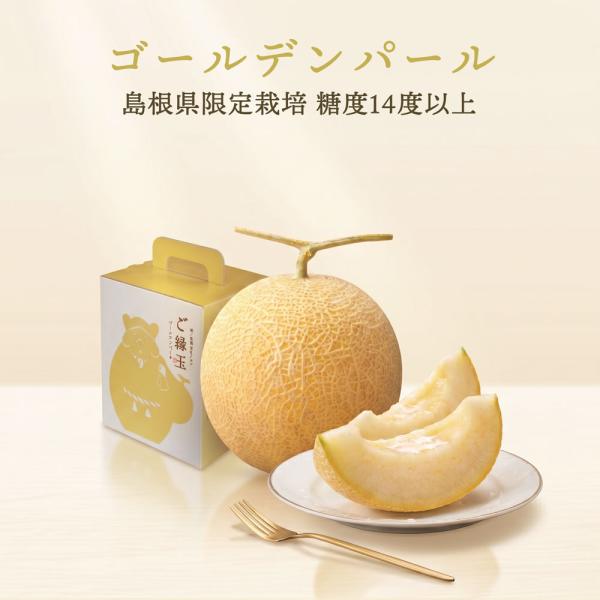 【発売日：2026年07月10日】【7月お届け・先行予約受付中！】島根県益田市の安藤農園でしか栽培されていない、唯一無二のオリジナル品種「ゴールデンパール」の予約販売を開始しました。● お届け時期：7月上旬〜中旬頃を予定（※天候・生育状況に...