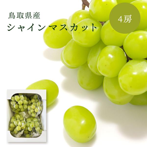 【発売日：2026年09月01日】鳥取県鳥取市国府町の岡垣農園で大切に育てられた、糖度18度以上の濃厚な甘みを誇るシャインマスカット4房セットです。種なしで皮ごと食べられ、パリッとした食感と高貴な香りが広がります。房の大きさが異なる「合わせ...