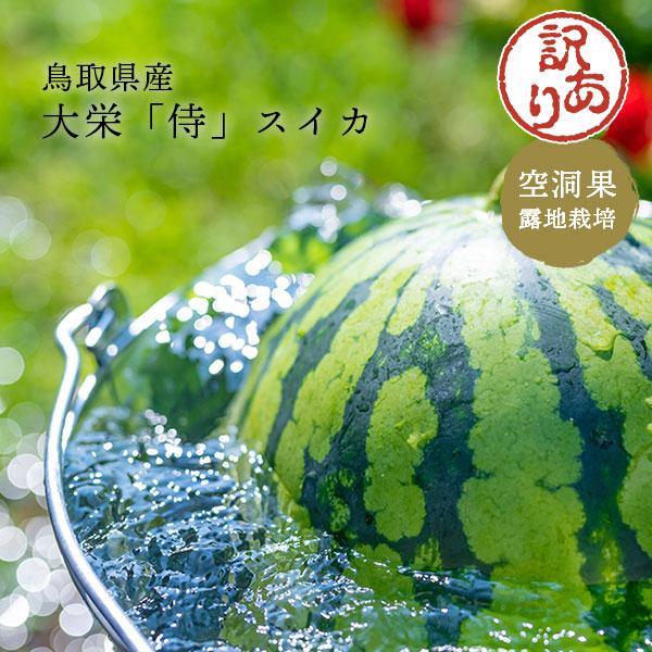 【発売日：2025年06月21日】※この商品は空洞果と呼ばれる訳あり商品です。・中が亀裂が入ったような空洞ができる・劣化が通常のスイカと比べ早い上記事項をご確認の上ご注文下さい。鳥取県北栄町（旧大栄町）産奥田農園　大栄「侍」スイカ露地栽培（...