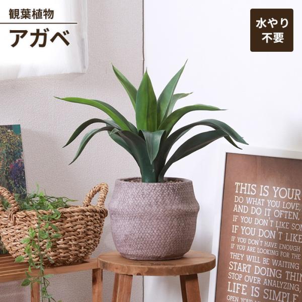 デザインポットでそのまま使える、フェイクグリーン・アガペ。ちょうどいいサイズ感でテーブルの上はもちろん、お手洗いや洗面所などにも◎シンプルなデザインのセメントポットは植物と相性抜群、グリーンがきれいに映えます。フェイクグリーンなので水やりな...