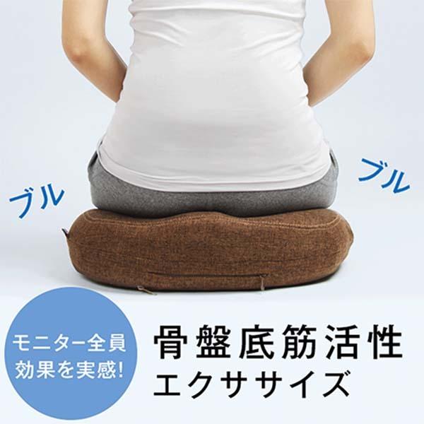 ちょっとした失禁が心配な方へ 座るだけでできるエクササイズ！振動にあわせ骨盤底筋群に力を入れ、脱力するエクササイズを行います。振動という小刻みな不安定要素を身体に与えることで、身体は安定化を図ろうとします。そこに自らの筋活動を行う事による相...