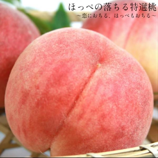 特別甘い贈答用の高級白桃の販売です。果物の品質グレードは全て最高級の「特秀」のみを使用。産地は長崎　佐賀　山梨、岡山、和歌山、福島から、時期と品質をみて1番状態の良い桃を選び抜いて送らせて頂きます。また贈り物用として【のし】と【メッセージカ...