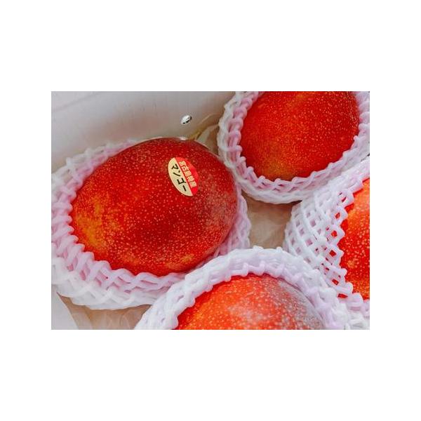とろけるような食感の特別甘い贈答用の最高級マンゴーの販売です。果物の品質グレードは全て最高級の「特秀」のみを使用。産地は宮崎となります。また贈り物用として【のし】と【メッセージカード】を無料でお付けできますので、ご希望のお客様はご購入後にメ...