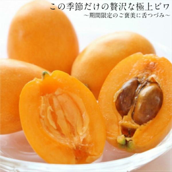 ご贈答用の最高級長崎特選茂木びわの販売です。果物の品質グレードは全て最高級の「特秀」のみを使用。茂木びわのサイズはLとなっており、標準的なサイズでジューシーで甘さがギュッと詰まったサイズとなっております。日本一の生産量で有名な長崎県産の茂木...