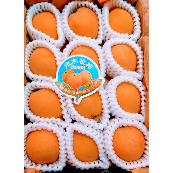 ご贈答用の最高級長崎特選茂木びわの販売です。果物の品質グレードは全て最高級の「特秀」のみを使用。長崎特選茂木びわのサイズは2L〜3Ｌとなっており、標準的な茂木びわより大きなサイズでジューシーでご贈答に喜ばれる大粒となっております。日本一の生...