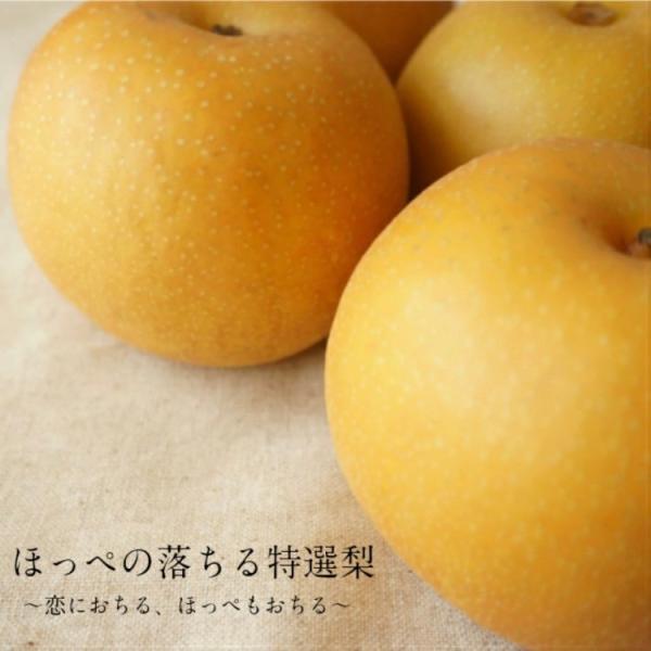 果汁たっぷりで特別甘い贈答用の最高級大玉梨の販売です。果物の品質グレードは全て最高級の「特秀」のみを使用。時期と品質をみて1番状態の良い産地の梨を選び抜いて送らせて頂きます。また贈り物用として【のし】と【メッセージカード】を無料でお付けでき...