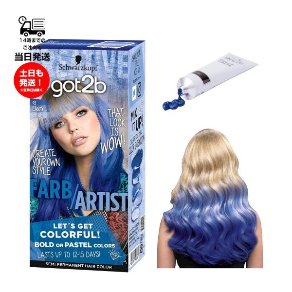 got2bは欧米生まれのカラーコスメブランド。ハイトーンカラーや派手髪、インナーカラーなど初心者でも、セルフでデザインカラーを楽しめる商品をラインアップしています。【自分でつくる #デザインカラー】2~3週間カラーの「got2bカラークリー...