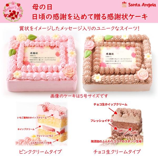 母の日におすすめの、感謝の気持ちを込めて母に贈るギフトが登場しました！「賞状ケーキ 」は、母の日にぴったりな贈り物です。感謝状をモチーフにしたデザインが特徴的。この賞状ケーキをプレゼントすれば、母の幸せな笑顔が蘇ること間違いなし！特別な日の...