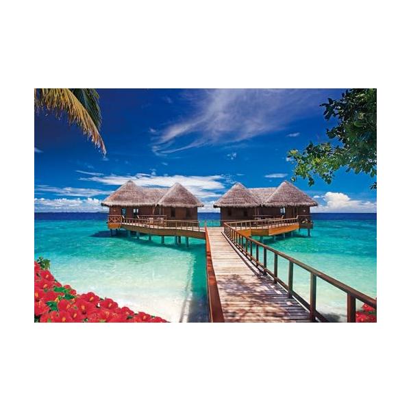 1053スーパースモールピーストロピカルコテージ/26×38cm/31-004・Color:トロピカルコテージStyle:1053スーパースモールピース・写真:アフロ・完成サイズ:26x38cm