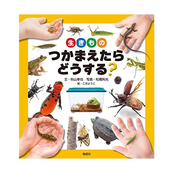 家の庭や、近所の空き地、公園の林の中、池のそば、田んぼや畑、川のまわり…… いろいろな生きものを見つけたよ　つかまえたい　つれて帰りたい　でも、飼い方は？　飼えなくなったらどうするの？  この本を読むと、身近な生きもののつかまえかた、持ちか...