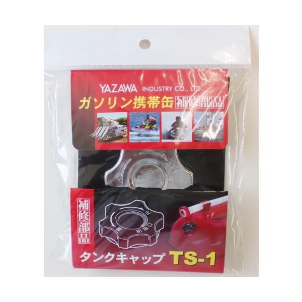 ・シルバー  TS1・YGヨウ