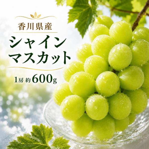 【ゆうパック クール便でお届けします】送料無料<br>(但し、北海道/送料1000円・沖縄地区/送料1500円をいただいております。)<br>【内容量:約600g×1箱セット〔1房〕<br>農業・食品産業...