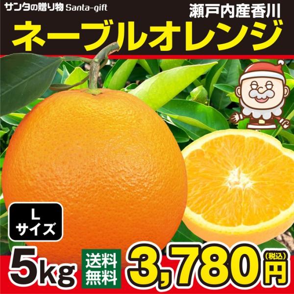 【お願い】こちらの商品は訳あり品となります。神経質な方は良くお考えの上お買い求めください・瀬戸内の風と温暖な気候が育んだネーブルオレンジです。最低糖度12度以上保証！果汁も多く高糖度で適度な酸味がある地元でもバカ売れのネーブルオレンジです。...