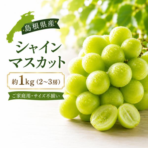 送料無料<br>(但し、北海道/送料1000円・沖縄地区/送料1500円をいただいております。)<br>【内容量:島根県産シャインマスカット 房のサイズ不揃い約1.0kg×1箱セット〔2-3房〕<br>農...