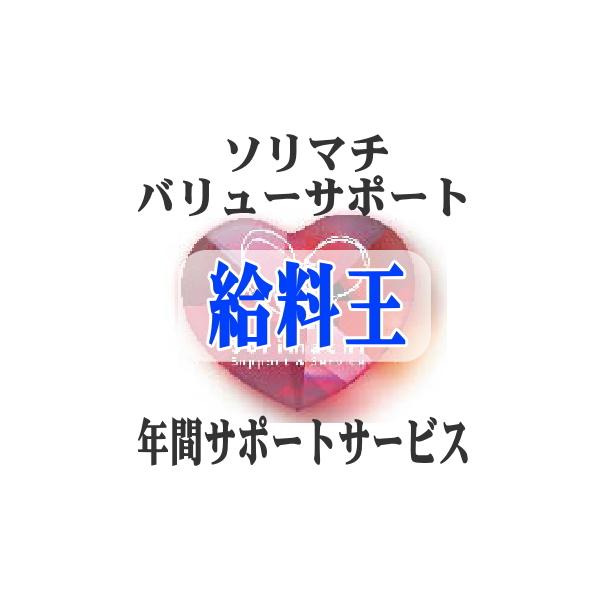 ■バリューサポートはソリマチが提供している年間サポート契約です。ソリマチが全て直接サポートいたします。■この商品は、現在ご加入中のバリューサポート会員様の契約更新用としても購入できます。＜サポート開始までの流れ＞ご購入時、お手持ちの製品シリ...