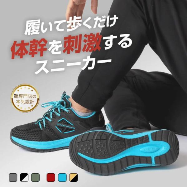 【発売日：2015年10月20日】超幅広 4E ローカット メンズ スニーカー 運動靴 EVOLVI エボルビー エボルヴィEV-1001 EV-2002 bello ベッロ カンパーレ 体幹 カジュアル ウォーキングシューズ ブラック グ...