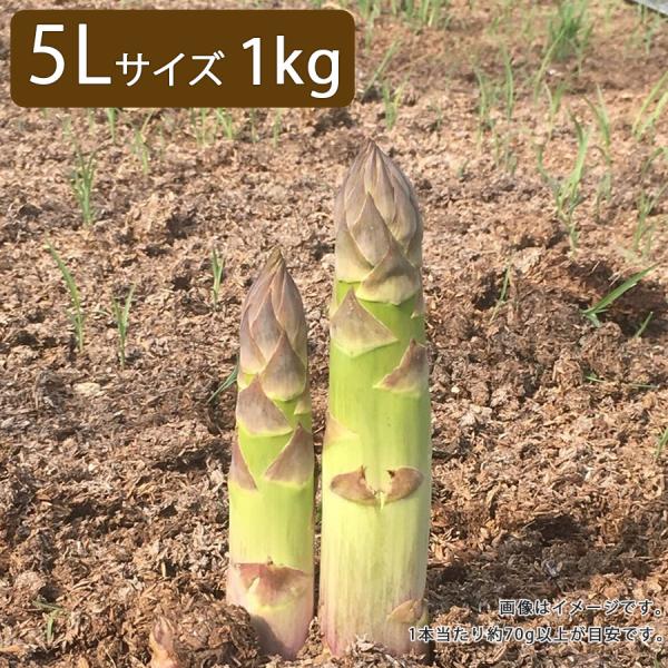 北海道産のグリーンアスパラガスをお届けいたします。北海道産ならではの甘み、みずみずしさ、シャキシャキとした柔らかい食感をお愉しみください。オンラインショップ限定、数量限定の極太サイズのグリーンアスパラです。＜商品内容＞北海道産グリーンアスパ...