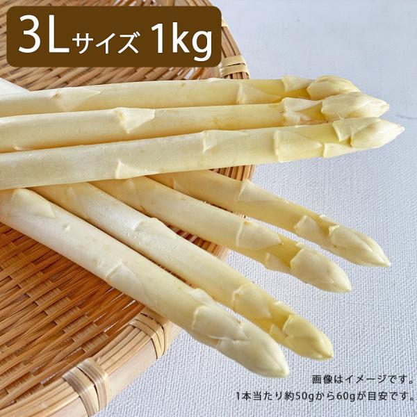 北海道産のホワイトアスパラガスをお届けいたします。　　　　　　　　　　甘みと柔らかさが特徴。日光に当てず育てるため、グリーンアスパラに比べ青臭さが少なく、ほんのりとした苦味と旨味が詰まっています。＜商品内容＞北海道産ホワイトアスパラガス　＜...