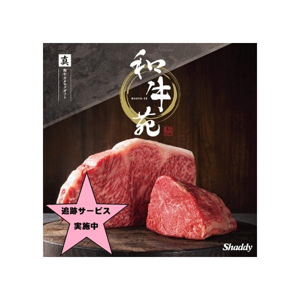 【発売日：2023年04月01日】［掲載商品数］約５０点 ［ページ数］５２ページ●価格にはシステム料が含まれております。【ネットショップ限定】宅配送料無料実施中！婚礼 引出物 結婚 出産 お祝い 内祝い 節句 七五三 入園 入学 就職 成人...