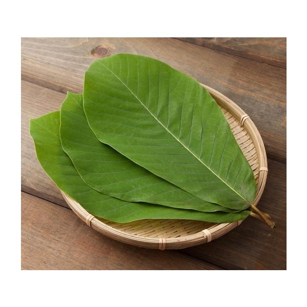 【発売日：2026年05月29日】キーワード：朴葉 生朴葉 朴葉の葉 ほおば 無農薬 天然 朴葉寿司 ・内容量：天然 生朴葉 30枚・お届け時期：5月下旬〜6月下旬・発送方法：ヤマト運輸 冷蔵便