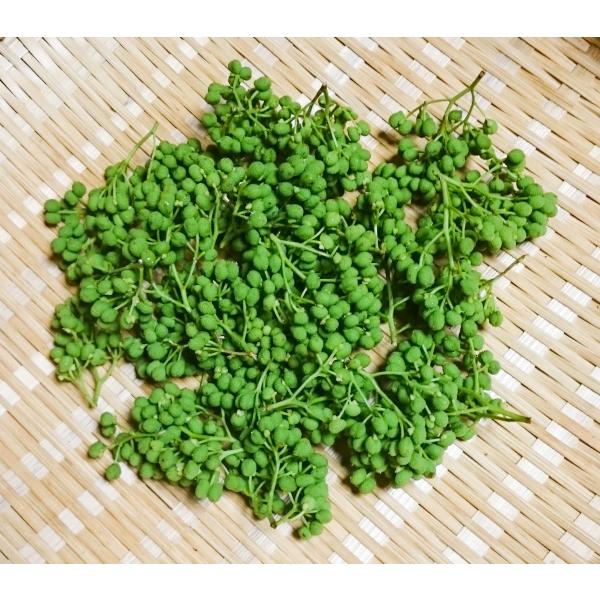 キーワード：冷凍 冷凍品 真空冷凍 青実山椒 青山椒 生山椒 実山椒 山椒の実 飛騨高山 無農薬・内容量：100g×2袋・お届け時期：6月中旬〜6月下旬・発送方法：ヤマト運輸 冷蔵便※飛騨の山奥(寒冷地)で収穫する実山椒のため収穫時期は6月...