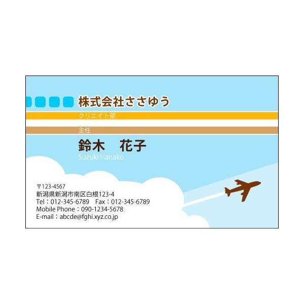 お店、自営業、フリーのご職業からスポーツ、ホビーまで豊富なデザインを取り揃えています 【飛行機・航空機】用紙サイズ：55mm×91mm枚数：100枚入／1個