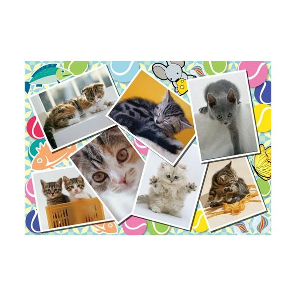 〜敷くだけで食卓がワンランクUP！使い捨てなので汚れても安心〜普段使い・パーティ・お食事会に！ 家飲み・お家ごはんでも大活躍！可愛いランチョンマットで一緒に食事したり、愛猫と共に遊んだりと、キャットカフェ気分で有意義なお時間をお過ごしいただ...