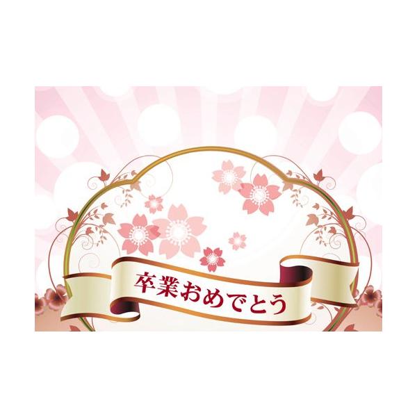 〜敷くだけでお料理がワンランクＵＰ！しかも使い捨てなので汚れても安心〜ご卒園・ご卒業のお祝いに…楽しい食卓を演出！ご卒業おめでとうございます。お子様の晴れの日を可愛いランチョンマットでお祝いしませんか。卒業式・お別れ会は一生に一度です。ちょ...