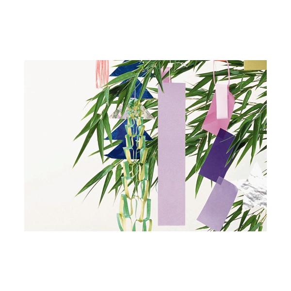 〜敷くだけで食卓がワンランクUP！使い捨てなので汚れても安心〜普段使い・パーティ・お食事会に！ 家飲み・お家ごはんでも大活躍！七夕の食卓を演出するユニークなランチョンマット。絵柄の短冊の部分に文字が書けるようになっています。今年の七夕は、家...