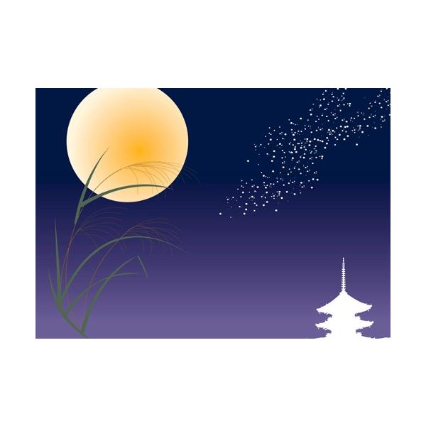 〜敷くだけで食卓がワンランクUP！使い捨てなので汚れても安心〜普段使い・パーティ・お食事会に！ 家飲み・お家ごはんでも大活躍！お月見をさりげなく演出するムーディなランチョンマット。紙製で使い捨てなので汚れても安心。普段使いにも、お子様のお食...