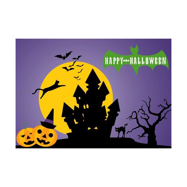 〜敷くだけでお料理がワンランクＵＰ！しかも使い捨てなので汚れても安心〜Halloween Partyを楽しく演出！月夜の屋敷にうごめく不気味な影。さあ、いよいよハロウィンパーティの始まりです！紙製で使い捨てなので汚れても安心。年に一度のハロ...