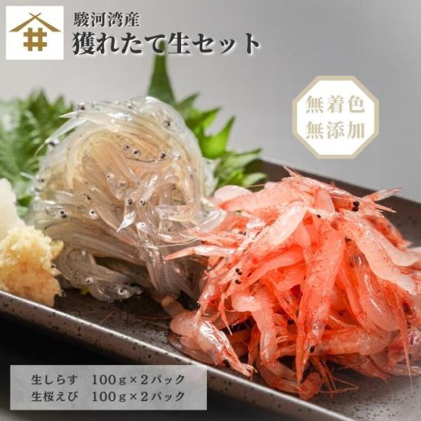 こんにちは、店長のミサキです。当店おすすめの駿河湾名産【生シラス】【生桜エビ】を獲れたて新鮮海鮮福袋としてセットにしました。どこでも召し上がれる品物ではないですよ。焼津港は、近くの駿河湾の恩恵をいっぱい受けています。是非とも味わってみてくだ...