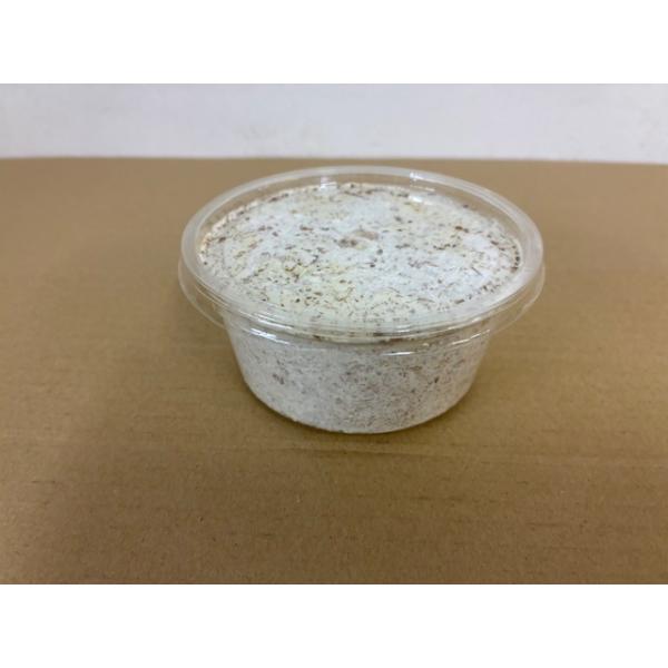 オオヒラタケ菌糸ブロックを、プリンカップ容量200ccに手詰めしました。1梱包80個入りです。よろしくお願いいたします。