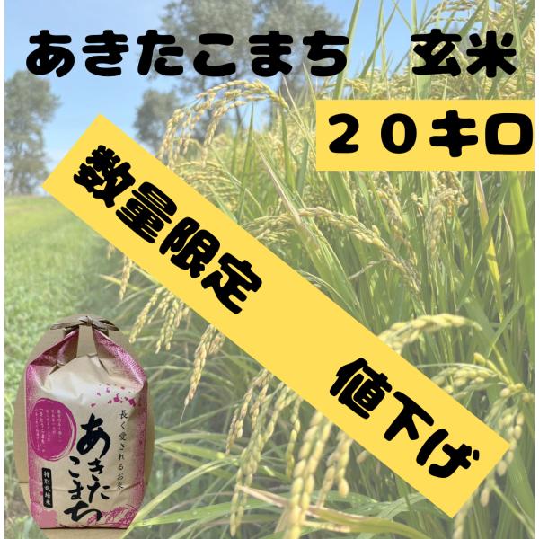 こんな時だから　美味しいお米たべませんか？商品名：特別栽培米　あきたこまち玄米　一等米名　称：玄米産　年：令和　7年産産　地：秋田県大潟村内容量：2０kg（１０kg×2）発送日：すぐ発送しますピカピカの新米ができあがりました。色選別済み。色...