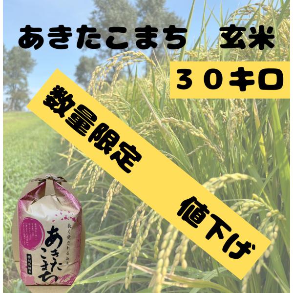こんな時だから　美味しいお米を食べませんか？商品名：特別栽培米　あきたこまち玄米　一等米名　称：玄米産　年：令和　7年産産　地：秋田県大潟村内容量：３０kg（１０kg×３）発送日：すぐ発送します(30キロ商品は沖縄県へのお届けはできません）...