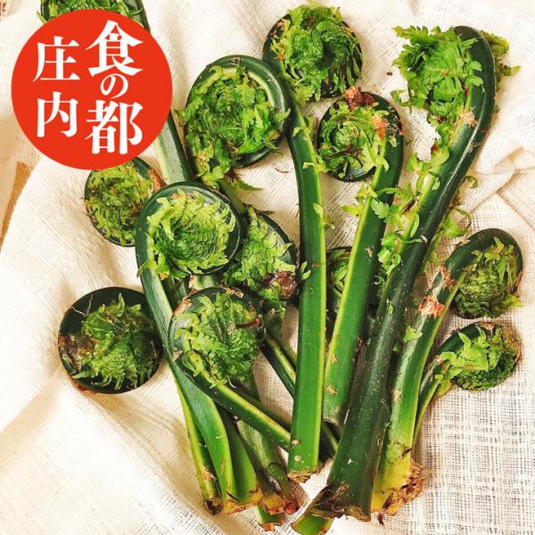 日本一の美食県・美酒県「山形」豊かな自然が育んだ山形のうまいもの。てんぷらに、和えものに。食卓に春を運ぶ「山菜のこごみ」内容天然山菜こごみ50ｇ注意事項・冷蔵クール便で発送・調理のレシピはお付けしておりません。・天然物のため、ごみや虫が混入...