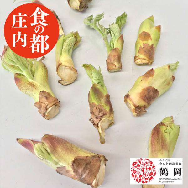 豊かな自然と生産者の情熱、こだわりの技術により育まれた山形のうまいもの。一足早く促成栽培でつくったタラの芽を食べてみませんか？内容促成栽培　山菜 タラの芽 50ｇ注意事項配達日の指定は、できません。他の商品とは別送りとなります。